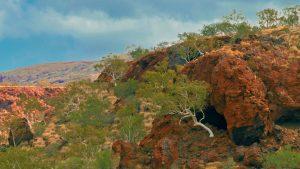 The PKKP Journey – PKKP Aboriginal Corporation